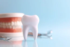 Fixed Partial Denture: Restore Comfort and Function